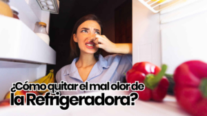 ¿Cómo quitar el mal olor de la refrigeradora? ☀️ - Blackversions